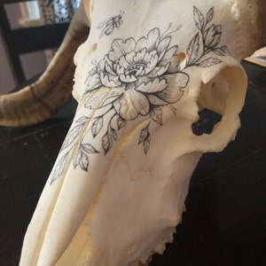 Hand Painted Red Fox Jaw | Etsy