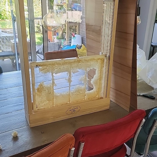 Observation Hive, 4-frame Nuc Apiary Bee Hive for Classroom, Urban ...