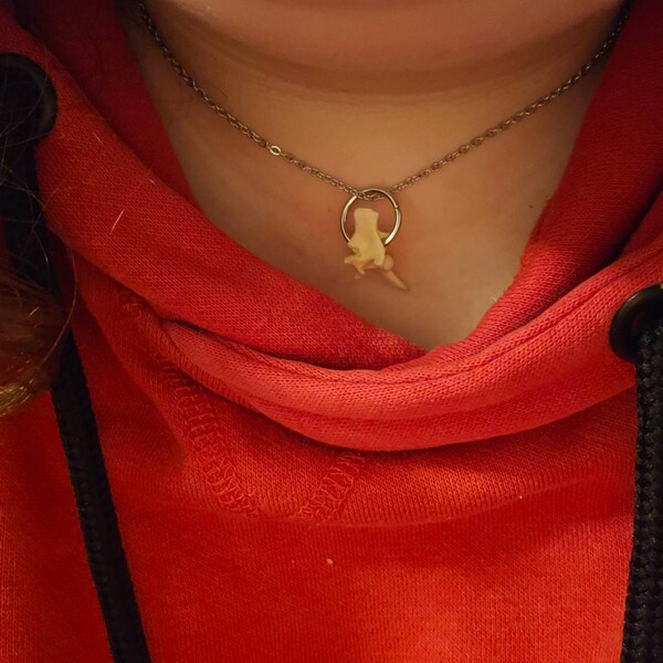 Silver Single Snake Vertebrae Bone Necklace, Real Bone Necklace ...