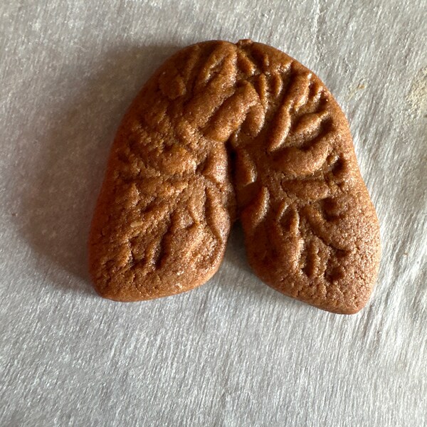 Mothman Cookie Cutter - Etsy