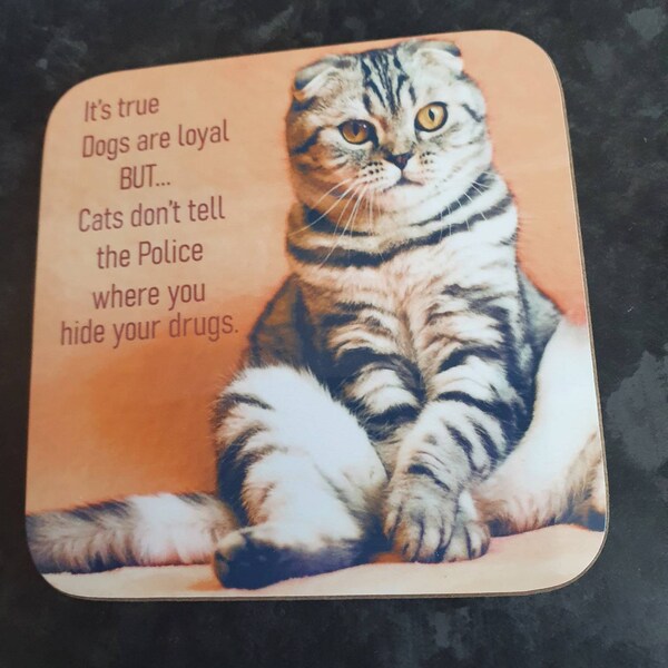 Set of 4 Fun Cat Coasters - Etsy