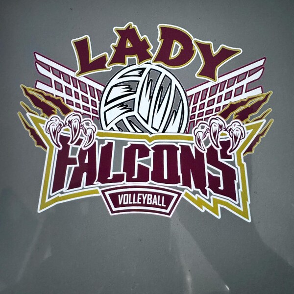 Falcons Volleyball SVG, Falcons Svg, Falcons Mascot Svg, Falcons Shirt ...