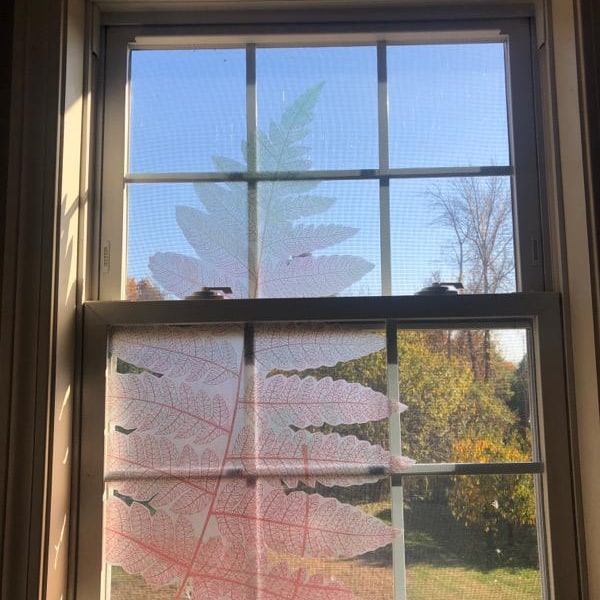 Custom Size Frosted Window Film Leaves Artscape Privacy Heat Protection ...