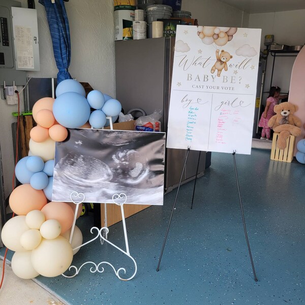 Boy or Girl Chart What Will Baby Be He or She Gender Reveal Teddy Bear ...