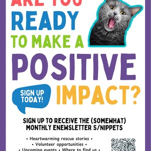 Editable July Newsletter Template, PTO PTA 4th of July Newsletter Canva ...