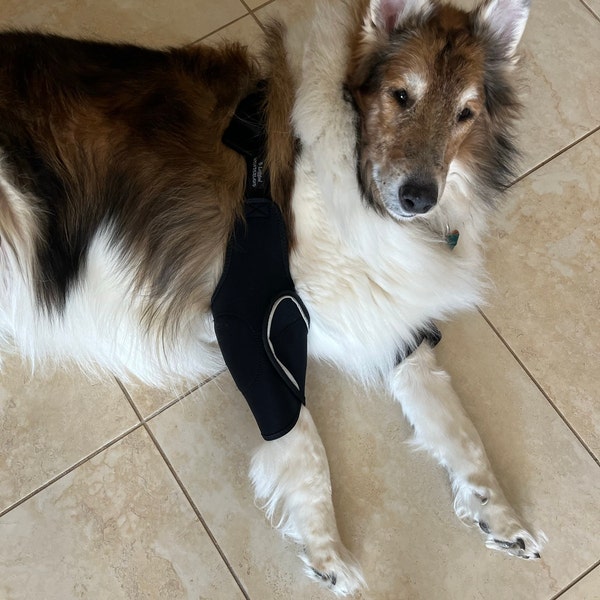 Adjustable K-9 Elbow Callus Pressure Sores Reflective Dog Elbow ...