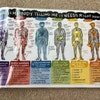 Body Sensations what Do I Need wipeable Worksheet Chart - Etsy