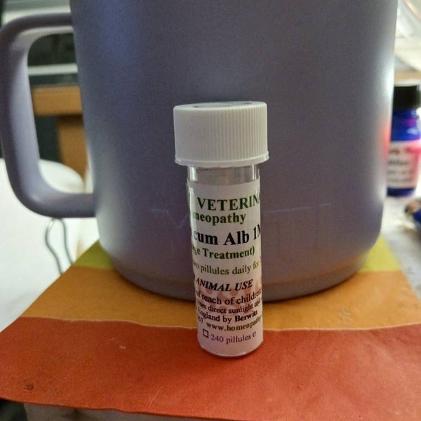 ECZEMA HOMEOPATHY CREAM for Dogs & Cats With Flaky ,dry Skin Eczema - Etsy