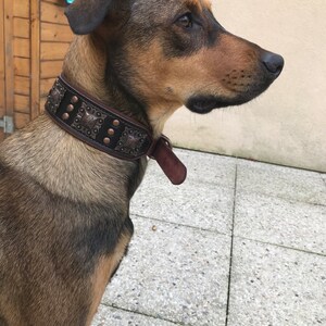 Dog Bite Collar Fashion Bully Dog Supplies Pitbull Bulldog PU Collar ...