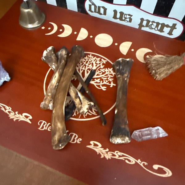 Aged Bone Set for Divination - Throwing Bones Set - Bones for Craft ...