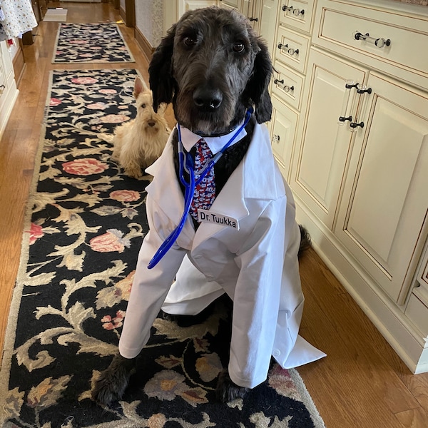 Dog Doctor Lab Coat Costume, Doctor Lab Coat Dog Costume, Pet Doctor ...
