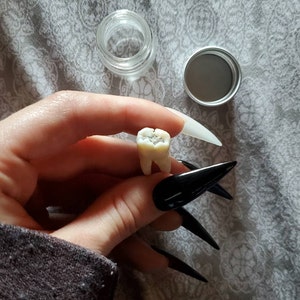 One Real Human Tooth Pendant Necklace - Etsy