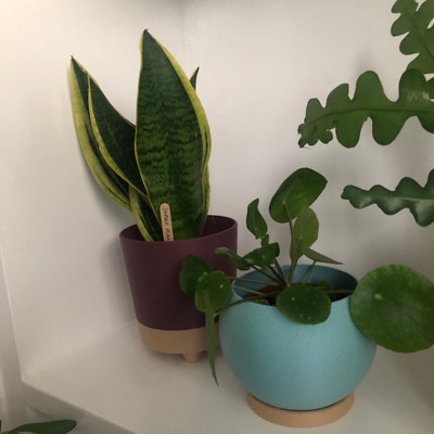 Rounded Cube Pot Planter Pot With Feet Coloured Pot Indoor - Etsy UK