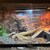 40 Gallon Red Rock Desert Background Petbackdrops Aquarium Background ...