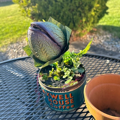 Massive Life Size Audrey 2 Replica Movie Prop Little Shop of Horrors ...