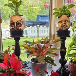 Pixie Head Planter - Etsy