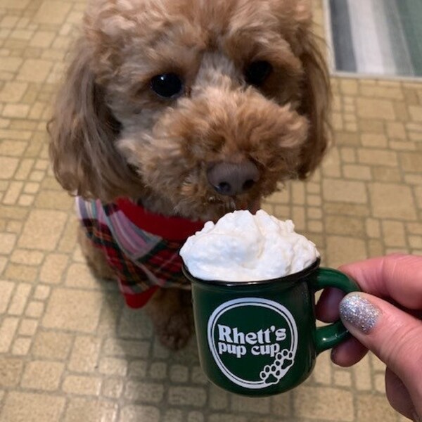 Reusable Pup Cup Custom Puppuccino Mug Dog Mom Gift 2oz Personalized ...