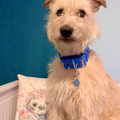 Key Fob ' Doctor Who Dalek' Design - Etsy