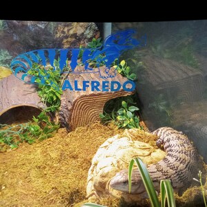 Baa Ram Ewe Sheep Decal Bah Ram Ewe Ram Decal Country | Etsy