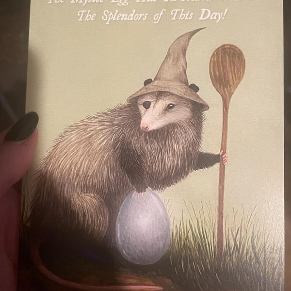 Wizard Possum Happy Birthday Greeting Card - Original by Feral ...