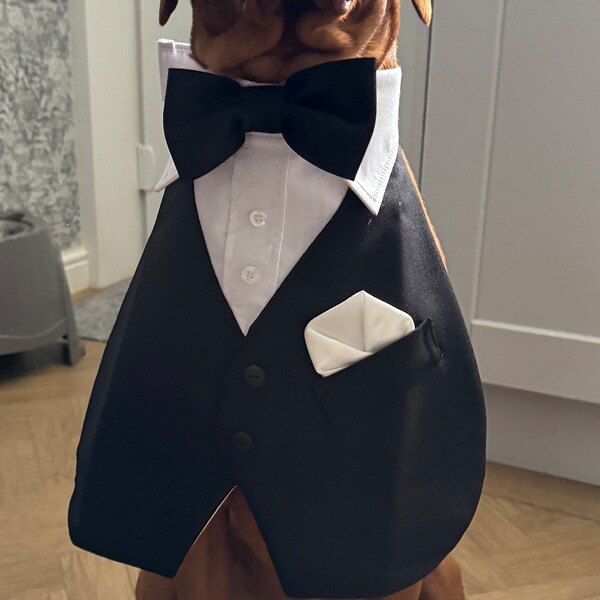 Dog Rugby Shirts. Dog Clothes. Dog Sweatshirts. Dog Outdoor Attire ...