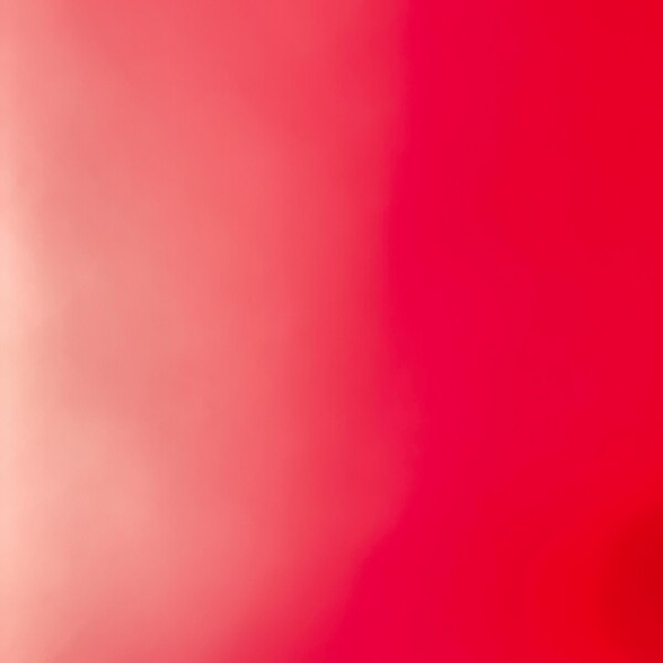 Muppet Christmas Carol Gonzo Rizzo Light the Lamp Not the Rat Shirt ...