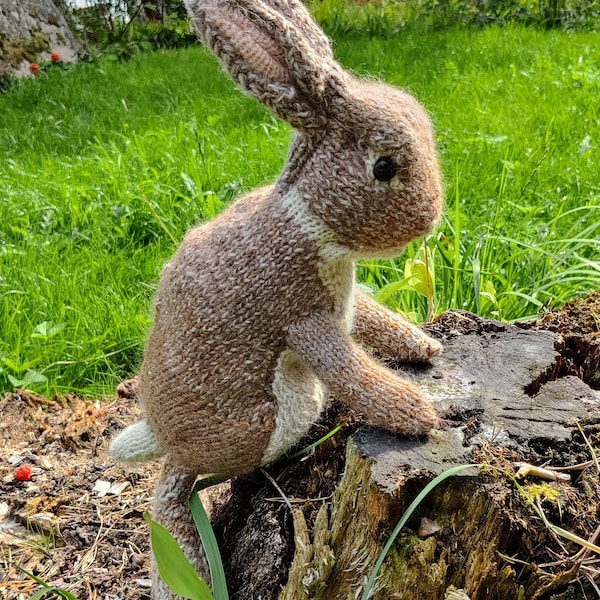 KNITTING PATTERN - Wild Rabbit - Etsy