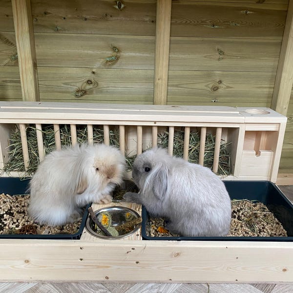 Rabbit Dig Box Indoor Use Only - Etsy UK