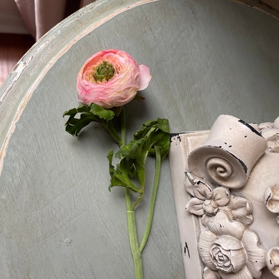 13 Faux Blush Ranunculus Stem - Etsy