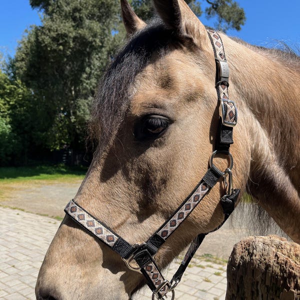 Custom Horse Halter Handmade USA by Halter All, Southwestern Western ...