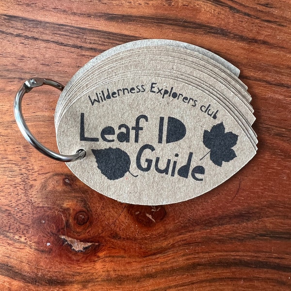 Leaf ID Guide - Perfect for Forest School, Child Minder, Home Ed ...