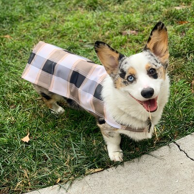 Corgi Rain Jacket - Etsy