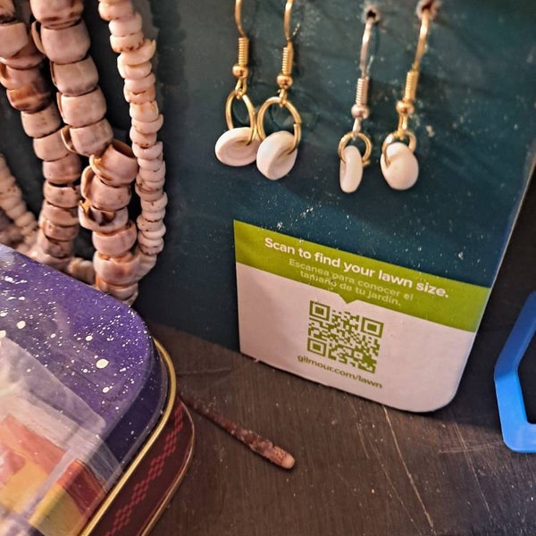 Large Hawaiian Cone Shells Abbreviated Cone Golden Yellow Cat Cone ...