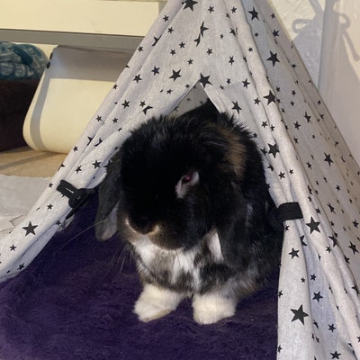 Wooden Rabbit Tunnel - Etsy