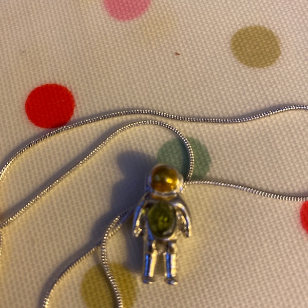 Spacex & ISS Flown NASA Vector Label - Flown in Space - NASA - Etsy