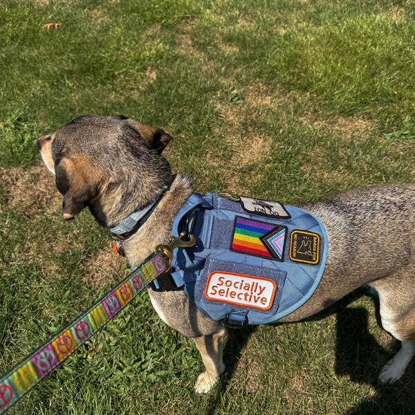 Socially Selective Pet Patch, Dog Patch, Pet Patch, Pet Vest Patch, Sew ...