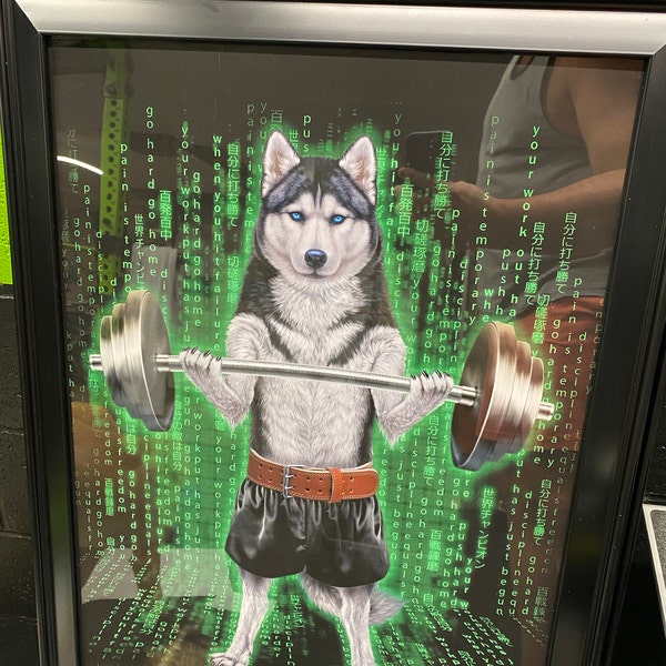 Bison Buffalo Bull as Boxing Champion Boxer MMA - Poster Print, Wall ...