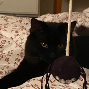 Teaser Wand Spider Cat Toy, Scary Spider Cat Toy, Dangling Teaser Wand ...