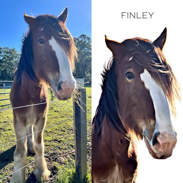 Horse Physical Assessment Form | Horse Bodywork | Equine Form | Horse ...