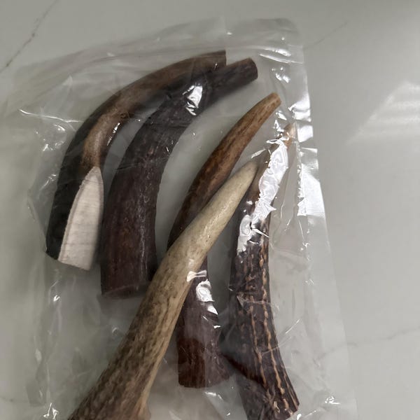 Forked Deer Antler Crafting Tips - (choose Size + Quantity ) - A Grade ...