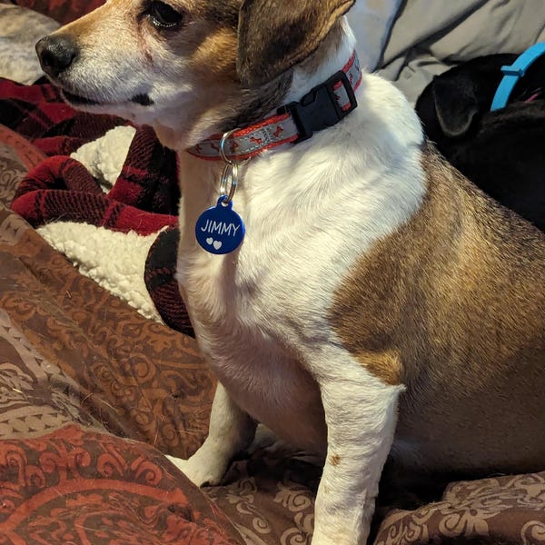 Bread Decal Bread Sticker Bread Box Decal Under 10 Dollars Cook Gifts ...