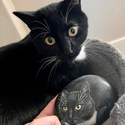 Custom Cat Portraits on Natural Stone - Etsy