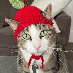 Apple Hat for Cats - Etsy