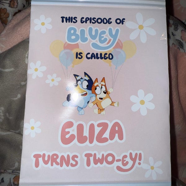 Bluey Favor/gable Boxes - Etsy