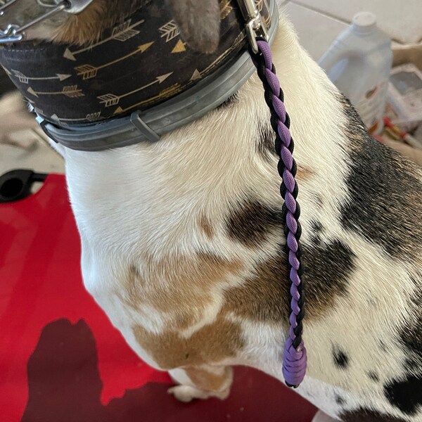 8-inch Paracord Dog Obedience Tab - Etsy