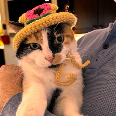 Pink Flower Summer Hat Cat Hats Cat Costumes Cat Accessories Cat ...