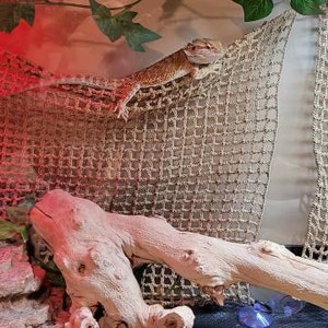 Reptile Climbable Wall Climbing Wall for Reptiles Reptile Climbable ...