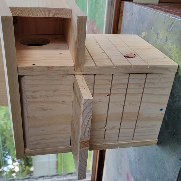 Durable Gray Squirrel Nesting Box – Wildlife Rehab Approved-predator ...