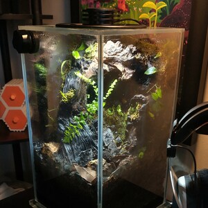 Rubber Ducky Isopod Plushie - Etsy