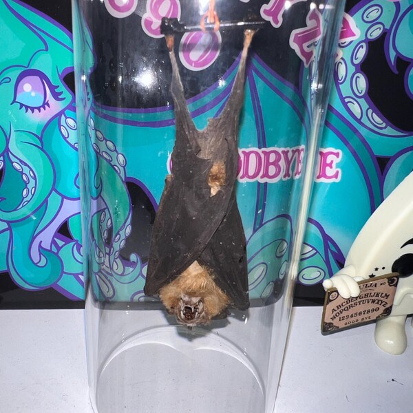 Ocean Aqua Mouse for Computer USB, Y2K, Frutiger Aero, Nostalgia ...